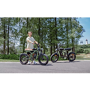 Freego Electric Motorcycle Dirt Bike for Adults, 1400W(Peak)/48V/22.5Ah, F2 Pro 20" x 4.0" Fat Tires Electric Bicycle, Top Speed 34MPH & 50Miles Ebike 7 Speed Dual Hydraulic Brake/Suspension