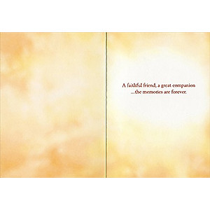 Dog Sitting On Beach At Sunset - Avanti Golden Retriever Pet Sympathy Card by Avanti Press