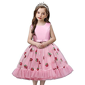 Baby Girls Sleeveless Floral Lace Shiny Strawberry Embroidery Princess Bridesmaid Dress for Baby Flower Ruffles Tulle Communion Baptism Holiday Dance Evening Short Gown Bean Pink 5-6X
