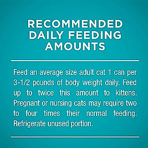 Purina ONE Grain Free Classic Turkey Recipe (12 CANS) (3 OZ Each)