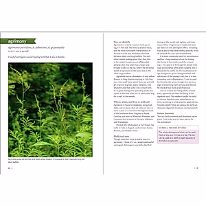 Southeast Medicinal Plants: Identify, Harvest, and Use 106 Wild Herbs for Health and Wellness (Medicinal Plants Series)