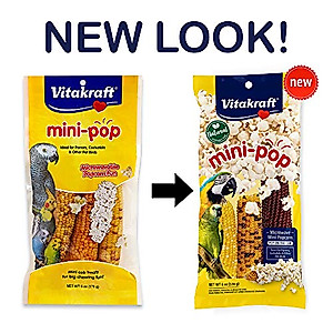 Vitakraft Mini-Pop Corn Cob Bird Treat 6 Ounce (Pack of 1)