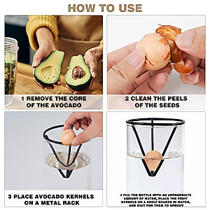 Bylion Avocado Tree Growing Kits, Avocado Growing Vase Wooden Base Avocado Seed Starter Vase Glass Plant Pot Easy Seed Sprout Starter Gift for Women Gardening Lovers Home Office Table Decoration