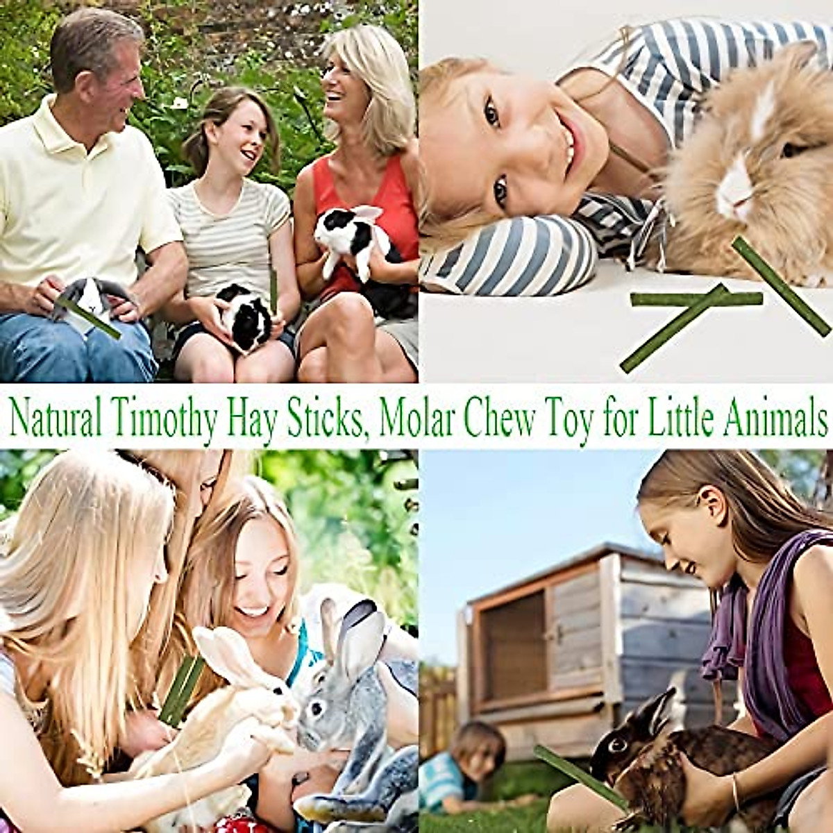 LSSH GmbH 20PCS Natural Timothy Hay Sticks, Timothy Grass Molar Stick Chew Toys for Rabbits, Chinchillas, Guinea Pigs, Hamsters and Other Small Animals Treats.