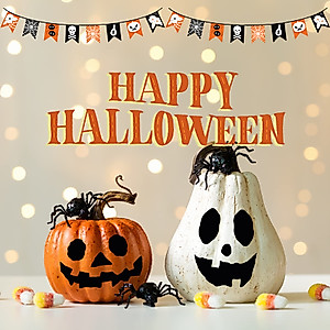 Halloween Decorations Gifts for Women Teens Adults, 12oz Pumpkin Inspired Stemless Wine Water Tumbler, Funny Gifts for Halloween Lovers or Party's Hostess, Halloween Party Supplies - Halloween Queen