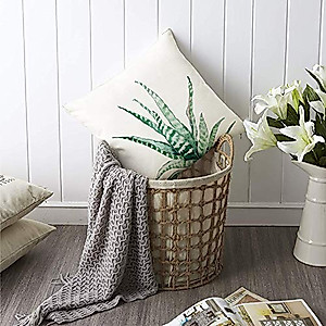 Hexagram Decorative Green Plant Pillow Covers 18x18, Succulent Green Leaf Summer Throw Pillow Covers Set of 4 for Living Room Couch Sofa Patio Outdoor Indoor Summer Cactus Green Home Decor