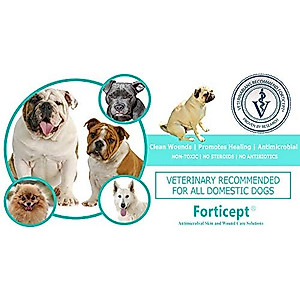 Forticept Blue Butter – Hot Spot Treatment for Dogs & Cats | Dog Wound Care | Skin Yeast Infections, Ringworm, Cuts, Rashes, First Aid Veterinary Strength Topical Ointment 4oz