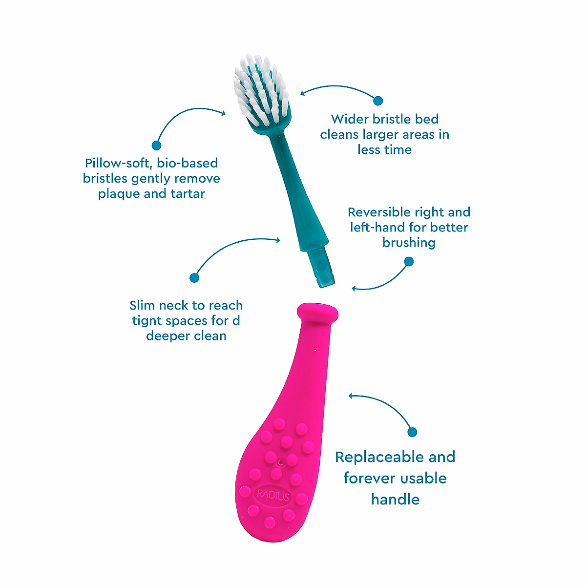 RADIUS Big Kidz Forever Brush Replaceable Head Toothbrush for Children, 6 Years and Up, BPA Free ADA Accepted for Growing Teeth and Gums - Right and Left Handed, Extra Soft - Pack of 1