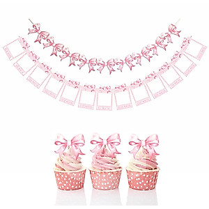 Pink Bow Garland+24Pcs Bow Cupcake Toppers,Bow Banner, Shower Decor,Pink Welcome Baby,Dessert Table Bunting,Coquette Theme Decorations,Double Sided