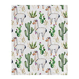 Jekeno Llama Alpaca Throw Blanket Cute Soft Blanket for Sofa Chair Bed Office Travelling Camping 50"x60"