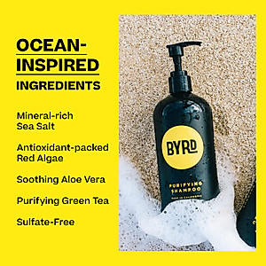 BYRD Purifying Shampoo – Gentle, Sulfate-Free Daily Cleanser, Adds Texture and Volume, For All Hair Types, 16 Oz