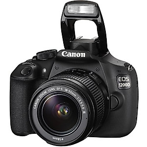Canon EOS 1200D - Digital camera - body only