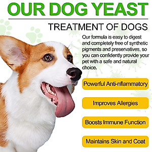 Natural Yeast Infection Treatment for Dogs - Effective Dog Ear Infection Treatment & Allergy Relief, Reduces Inflammation, Alleviates Itching, Combats Infections, Improves Coat & Skin