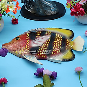 Tropical Fish Wall Decor Black Hanging Wall Art Décor Sculpture Statues Ocean Sea Decorations For Home Nursery Office Garden Patio Fence Bathroom Yard Pool Indoor Outdoor Beach Nautical Theme Fish6