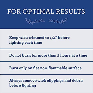 Our Own Candle Company Soy Wax Aromatherapy Candle, Simply Peppermint, 6.5 Ounce