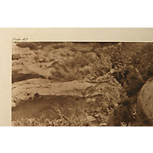 Counting the Record by Edward S. Curtis (1868-1952), Original Photograph, 13.75x17