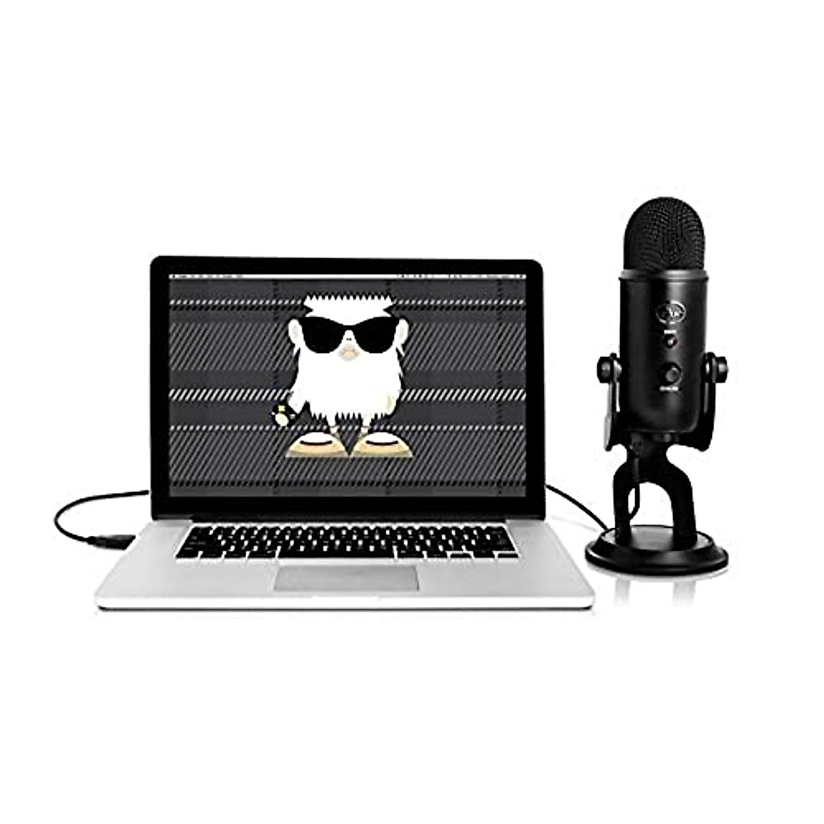 Blue Microphone Yeti USB Microphone Blackout Bundle with C920S Pro HD Webcam and 4-Port USB Hub (3 Items)