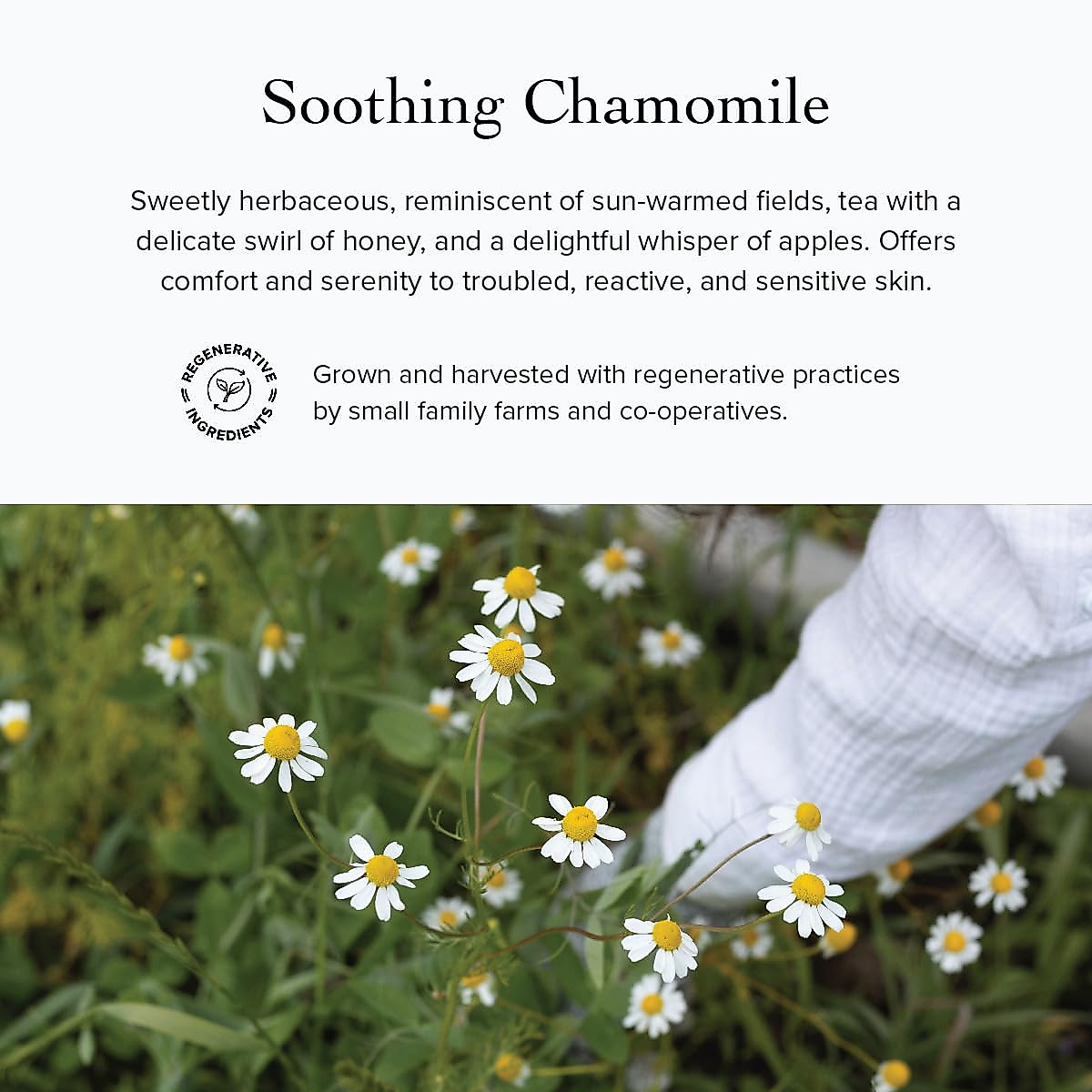 evanhealy Blue Lavender Cleansing Milk | Soothe & Calm Reactive Skin | Moisturizing Gentle Deep Clean For Sensitive Skin