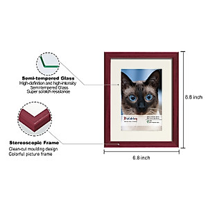 VIOLABBEY 6x8 Picture Frame Red, Photo Frame Set of 4, Display 4x6 Photo with Mat and 6x8 without Mat, Wall or Tabletop, HD Real Glass