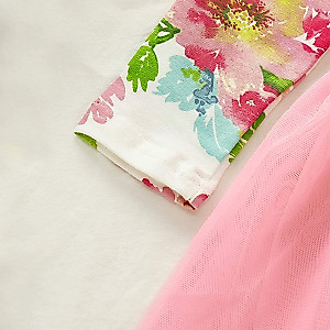 2nd Birthday Outfit Girl Two Year Old Birthday Outfit (Pink-Long Sleeve,2T)