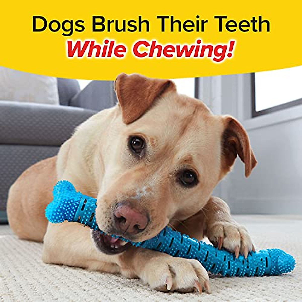 BulbHead BrushBone Toothbrush, Dogs Chewing, Plaque and Tartar Remover for Teeth, Works 3 Ways to Clean While They Play, Invented by a Dentist & His Hygienist Wife, 1 Count (Pack of 1), Brush Bone