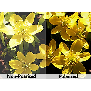 Littlebird4 1.5mm Polarized Replacement Lenses for Oakley Radar EV Path Sunglasses - Multiple Options (Dark Black)