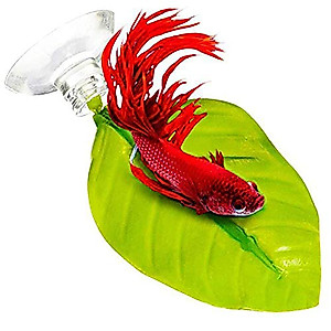 Airlove Betta Bed Leaf Hammock for Betta Fish, Lightweight and Realistic Resting Spot, No BPA, Practical, Comfortable and Safe