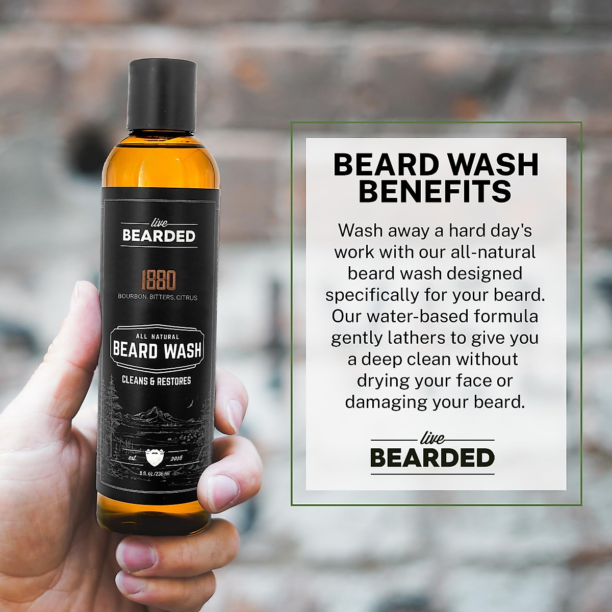 Live Bearded Beard Wash - 1880 - Beard and Face Wash - 8 fl. oz. - Water-Based Formula with All-Natural Ingredients for a Gentle, Deep Cleanse - Made in the USA