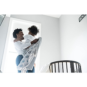 Ultra Sensitive Laundry Detergent w/ Lavender for Baby or Adult - Earth Friendly, Sensitive Skin, Sulfate-Free, Plant Based - by Dinobi | 32 Ounce | Environmentally Friendly, Hypoallergenic and Skin Safe, Vegan, and Safe for HE Washers!