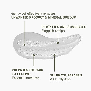 KEVIN.MURPHY MAXI.WASH - Detox Shampoo - Removes Build-Up & Minerals - Colour Safe Shampoo - Also a Scalp Shampoo - Sulphate Free & Paraben Free - 250 mL / 8.4 fl oz