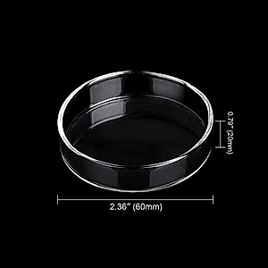 Dannisly Aquarium Glass Feeder Dish Shrimp Feeding Dish Round Clear Glass Fish Feeder Bowl Fish Tank Food Tray Container Prevent Food Spilling, 60mm