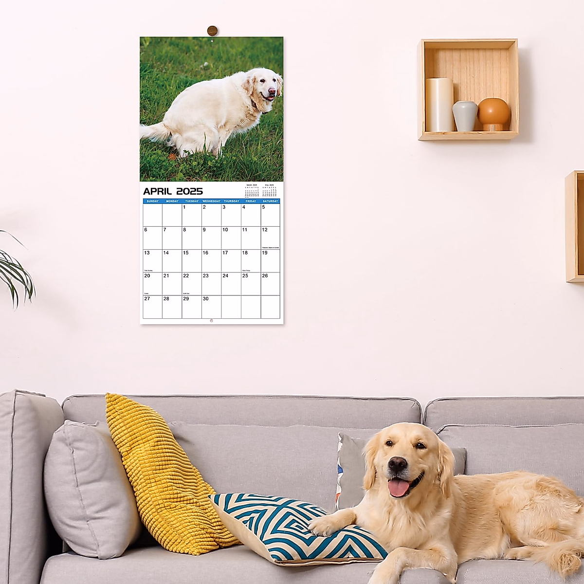 2024-2025 Wall Calendar – 18 Monthly Pooping Dogs Calendar 2024-2025, Jul 2024 - Dec 2025, Funny Dog Calendar Gag Gifts, 11.8" x 23.6" (Open), 11.8" x 11.8"(Closed), Perfect White Elephant Gift Funny
