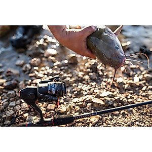 Ugly Stik Ugly Tuff Spinning Spinning Reel, Size 60, 5 Stainless Steel Ball Bearing System, Oil Felt Front Drag Drag, Max of 24lb | 10.8kg,Black