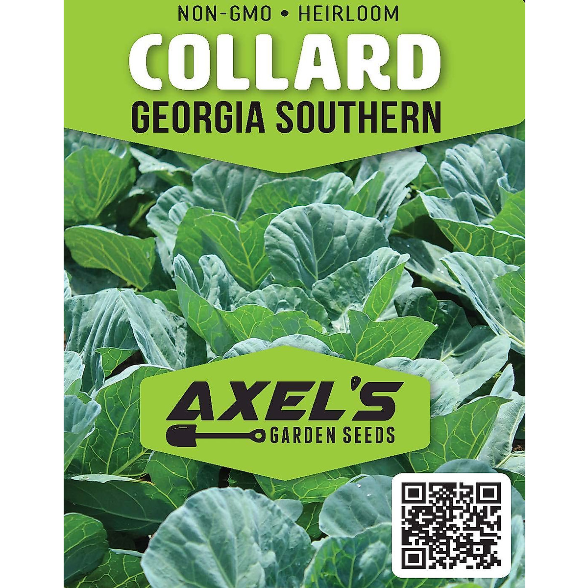 Collard Green Seeds for Planting - Plant & Grow Georgia Southern Collards - Full Planting Instructions to Plant a Home Outdoor Vegetable Garden - Great Gardening Gift, 1 Packet