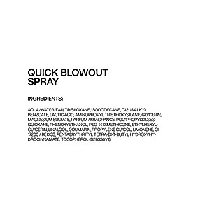 Redken Quick Blowout Heat Protection Spray | Blow Dry Primer Reduces Styling Time | Smooths & Adds Shine | Lightweight Blowdry Spray and Heat Protectant | For All Hair Types | 4.2 fl. oz.