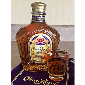 GO FROZEN Inspired by Harry Potter Shot Glass-I Solemnly Swear-Mischief Managed