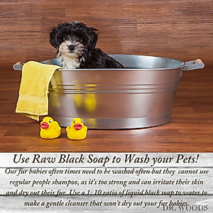 Dr. Woods African Raw Black Vegan Liquid Body Wash with Organic Shea Butter, 32 Ounce