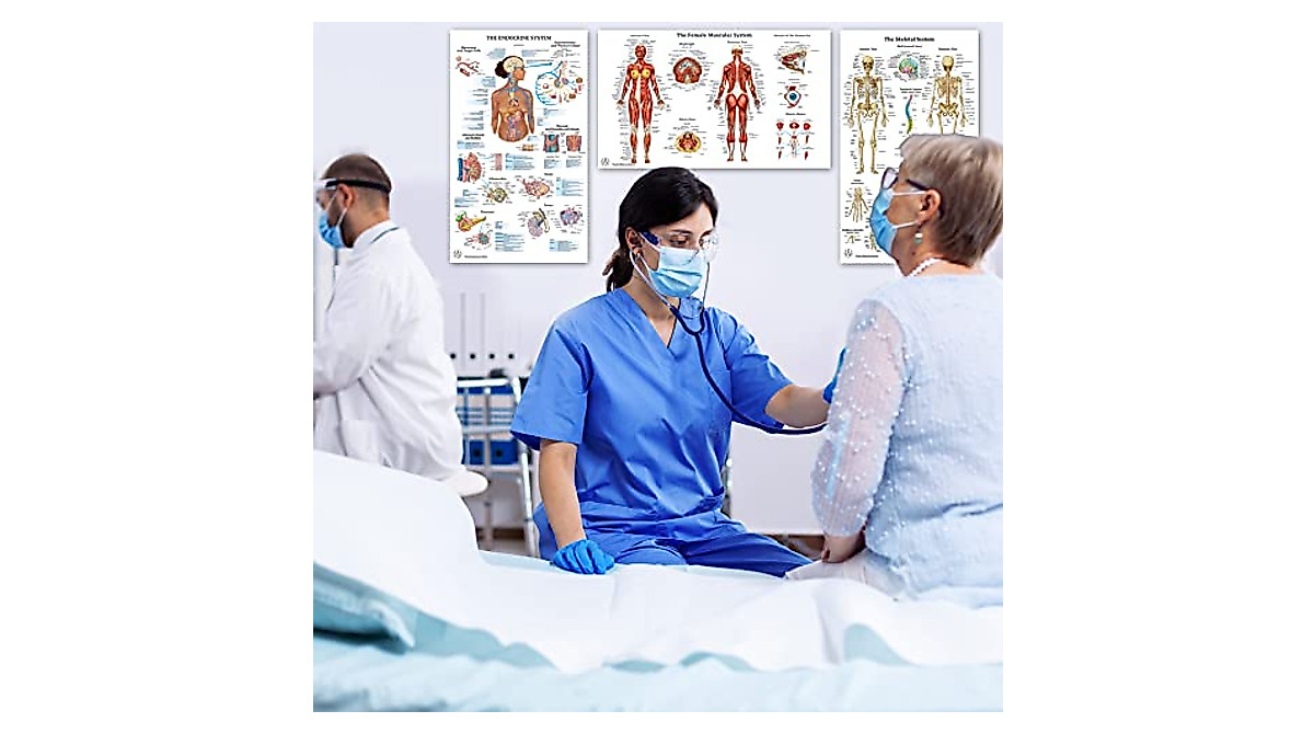 Anatomy Posters Set - Educational Wall Charts for Medical Study