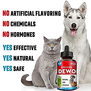 Cats & Dogs Liquid Herbal Medicine & Natural Broad Spectrum Treatment for Tapeworm, Whipworm, Roundworm, and Hookworm - Prevention Medication & Supplement Drops for Kitten and Puppies - Made in USA
