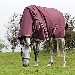 Weatherbeeta ComFiTec Plus Dynamic II Detach-A-Neck Lite - Maroon/Grey/White - 78"