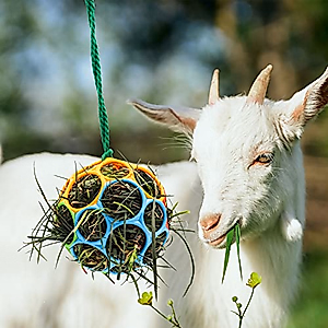 Besimple 2 Pack Horse Treat Ball Hay Feeder Toy, Goat Feeder Ball Hanging Feeding Toy for Horse Goat Sheep Relieve Stress (Colorful)