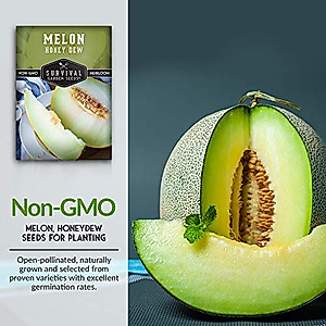 Survival Garden Seeds - Honeydew Melon Seed for Planting - Packet with Instructions to Plant and Grow Light Green Honey Dew Melons Your Home Vegetable Garden - Non-GMO Heirloom Variety