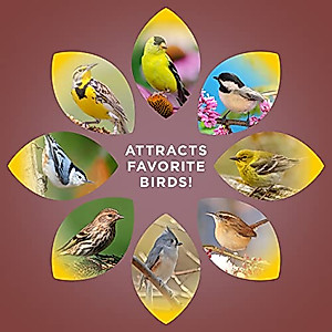 Audubon Park Sunflower Hearts & Chips Wild Bird Food, No Mess Sunflower Seeds for Birds, 5-Pound Bag