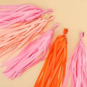 Pink Orange Peach Tissue Paper Tassels 15 Pcs Garland Banner Party Tassel Paper Tassels for Party Decorations Birthday Baby Bridal Shower