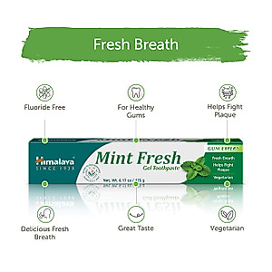 Himalaya Mint Fresh Gel Toothpaste, Fluoride Free to Reduce Plaque & Brighten Teeth, 6.17 oz