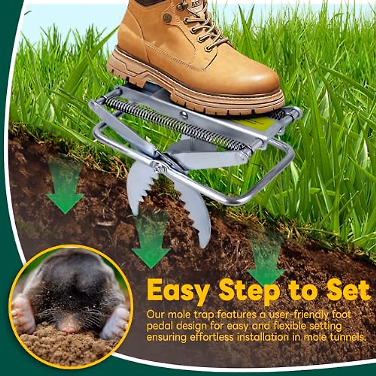 Mole Trap Scissor 2 Pack, Upgraded Mole Traps for Lawns That Kill Best, Galvanized Steel Mole Killer, Easy Step Setup