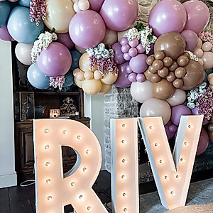 Dusty Pink Blush Balloon Garland Arch Kit,Double-Stuffed Dusty Pink Nude Coffee Blue Balloons for Birthday Bridal Baby Shower Wedding Party Decorations