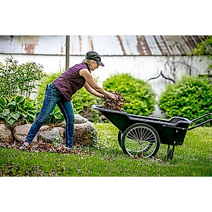 Polar Trailer 8376 Utility Cart, Standard, Black