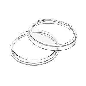 Welsh Red Dragon Celtic 1 oz Pure .999 Copper Round Bullion Coin in Capsule with COA by Heavenly Metals