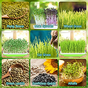 Legigo 5 Pack Seed Sprouter Trays- Soil-Free Cultivation Germination Tray, BPA Free Micro Greens Growing Trays Seed Sprouting Trays Kit with Germinating Paper for Healthy Wheatgrass, Beans and More
